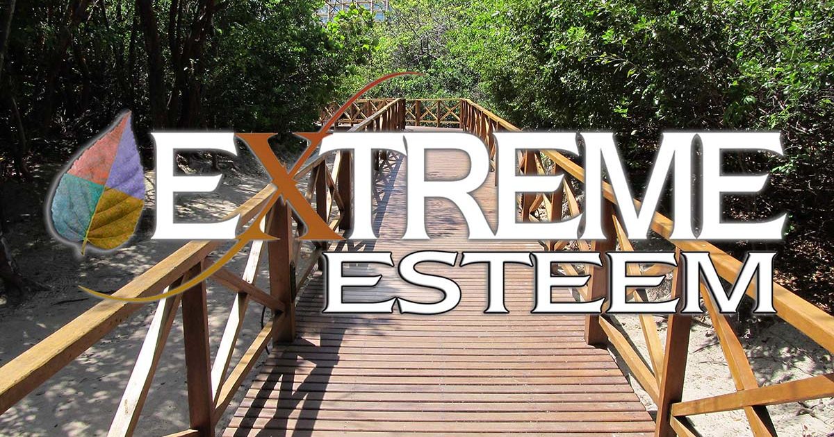 Hypnotherapist Training - Extreme Esteem